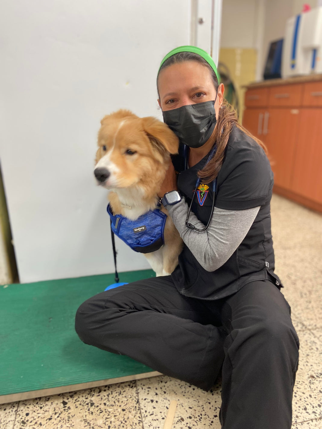 Taino Veterinary Clinic